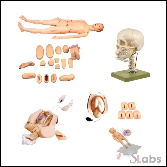 MEDICAL EDUCATION AND NURSING TRAINING MODELS - Scholars Labs